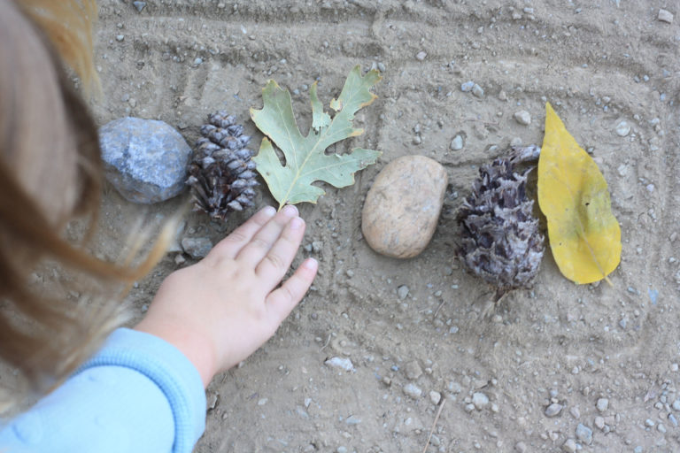 Fun Outdoor Activity: Identifying Nature Patterns - WinterKids