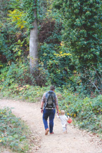 Fun Outdoor Activity: Identifying Nature Patterns - WinterKids