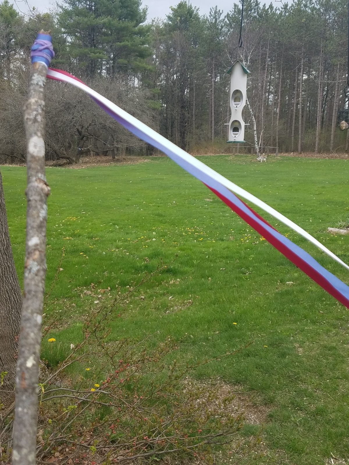 DIY Wind Streamers for Kids - WinterKids
