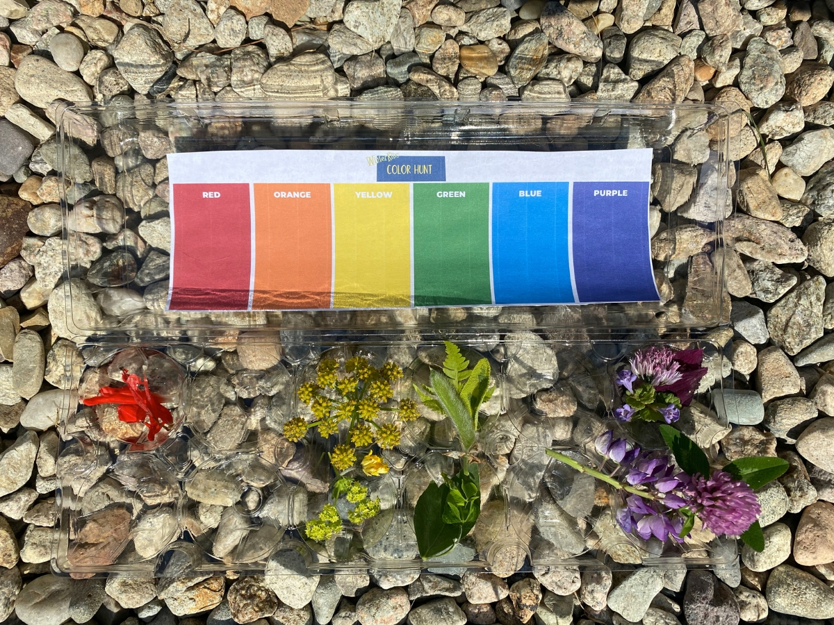 How to Create Fun Nature Treasure Hunts Using Egg Cartons - WinterKids