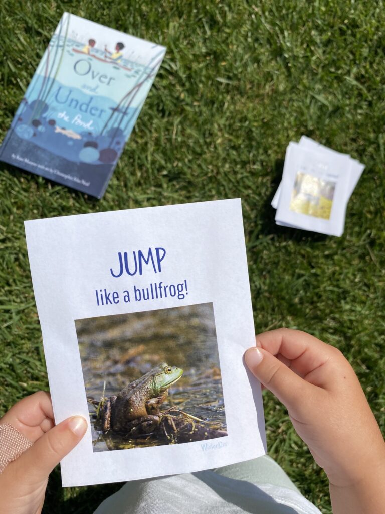 Animal Action Cards, Maine Wetlands Edition - WinterKids